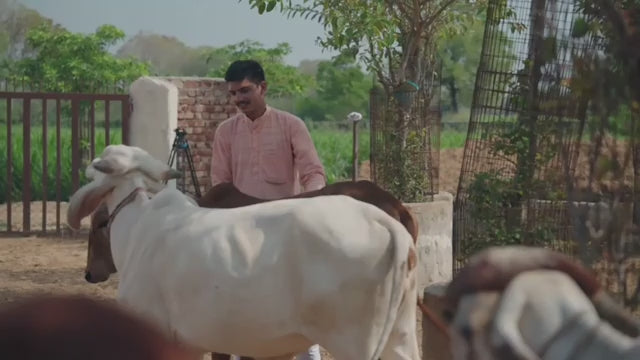 Nyutam Farm is a small organic farm in Haryana